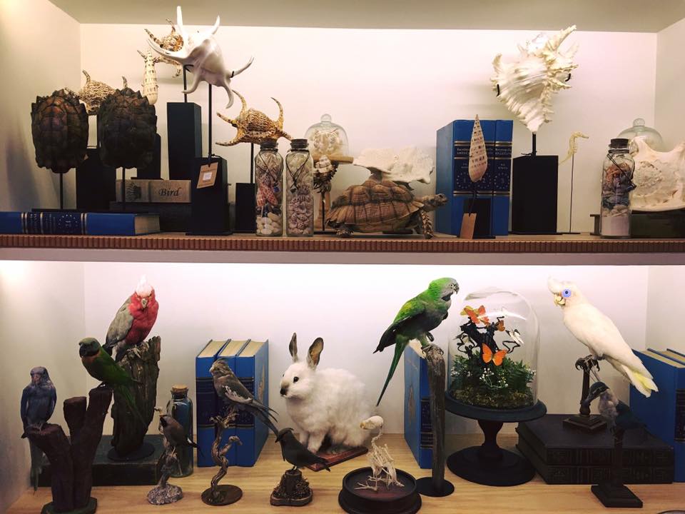 Nature Decoration - Chatuchak Market ตลาดนัดจตุจักร: The World's ...